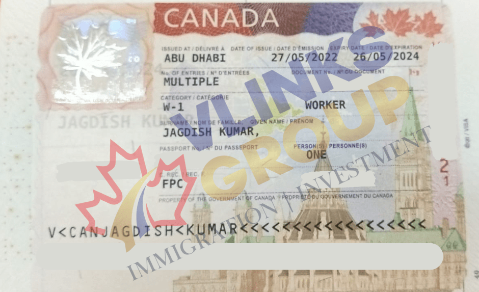 Immigration and Visa Consultants | Overseas Consultant, India, UAE ...